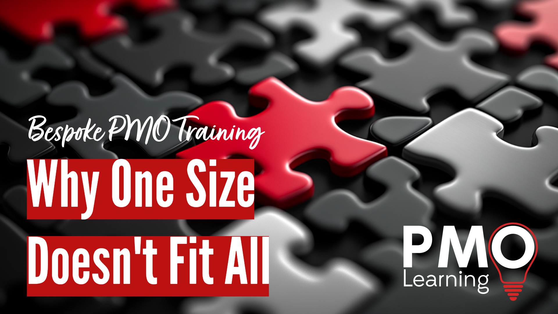 Bespoke-PMO-Training (6) - PMO Learning from House of PMO