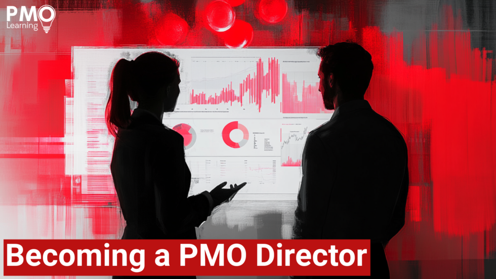 Becoming a PMO Director - PMO Learning from House of PMO